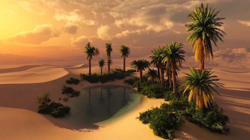 Oasis en el desierto: milagros de la naturaleza en tierras áridas